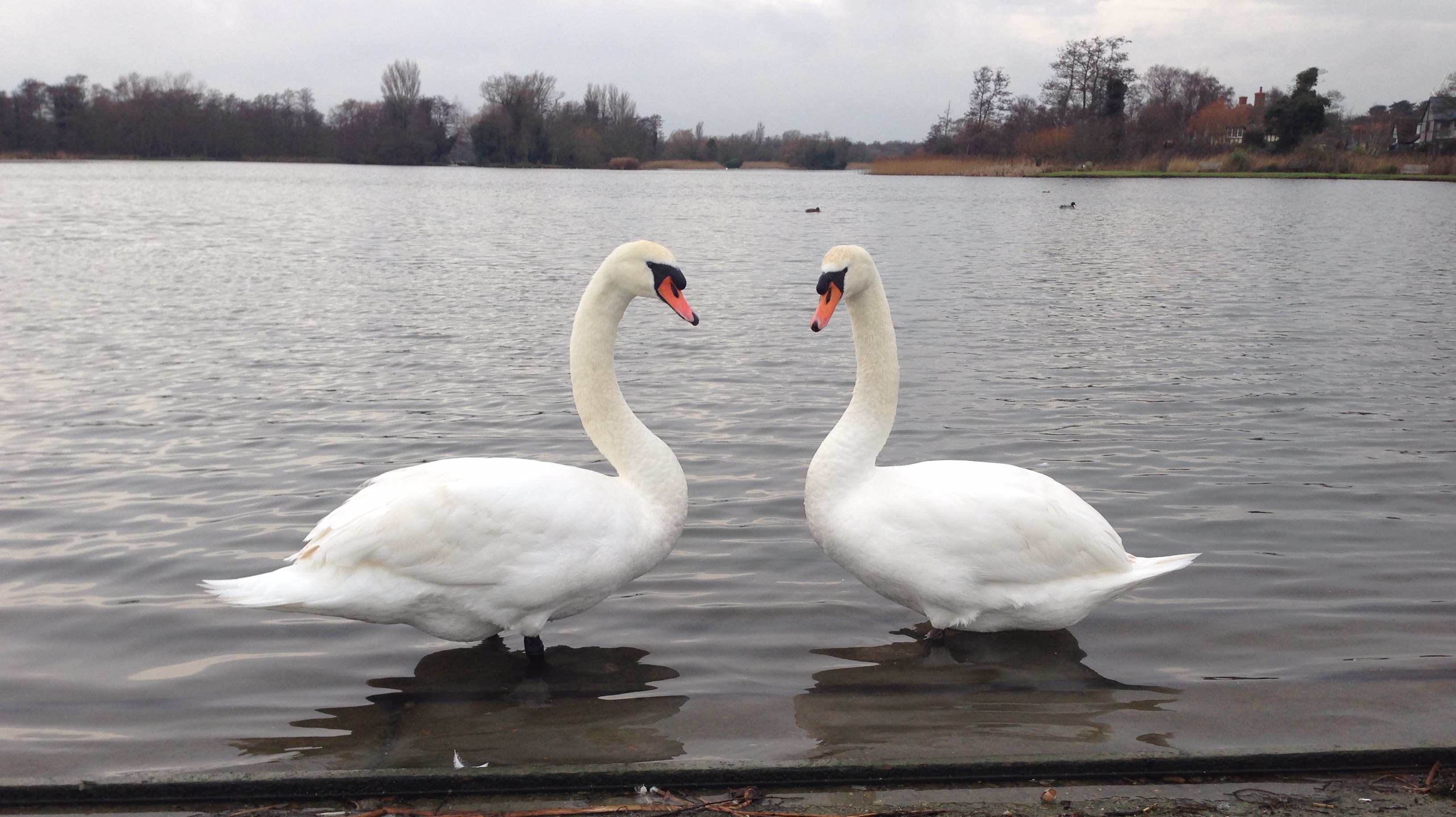 Anglia Weather: Generally cloudy with outbreaks of light drizzly rain ...