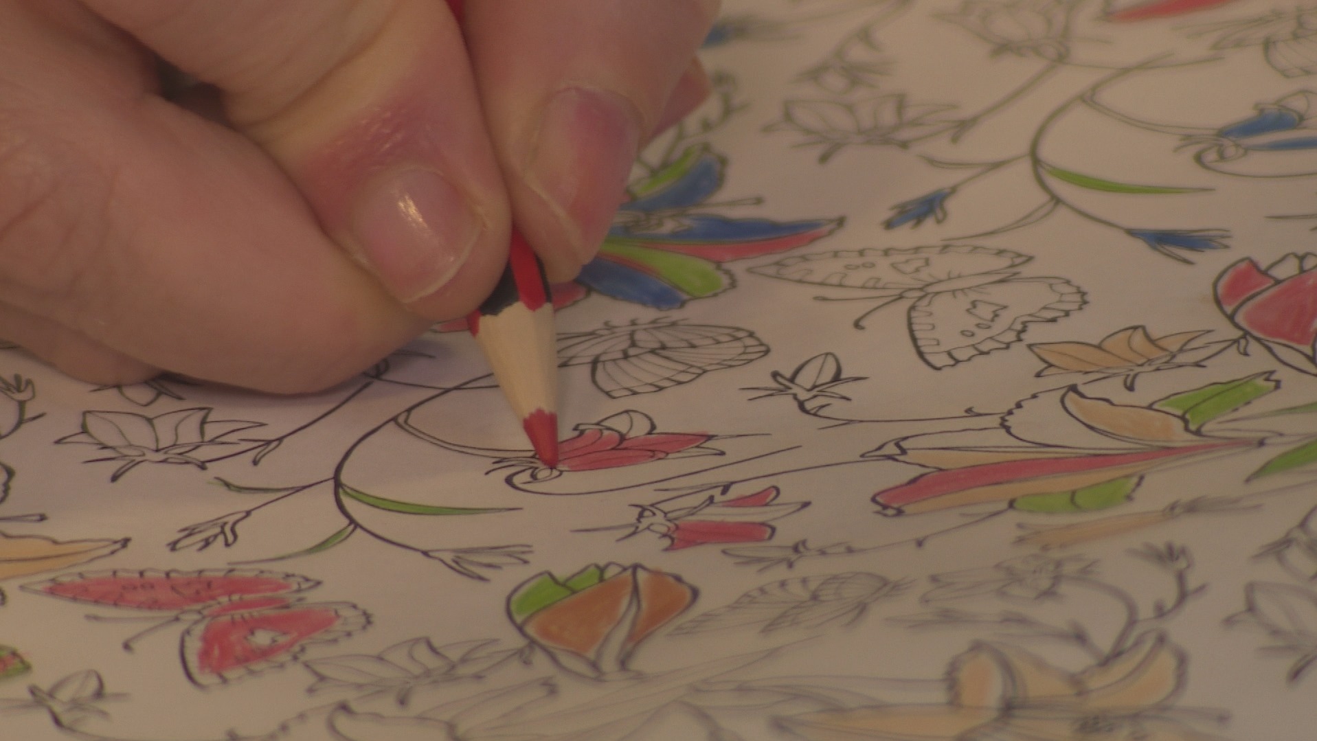How adult colouring sessions are helping bring isolated people together ...