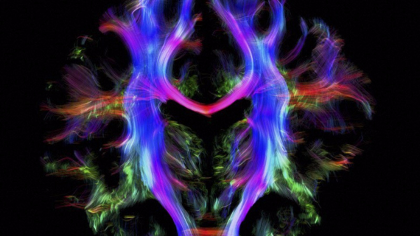 Striking images celebrate the beauty of science | ITV News