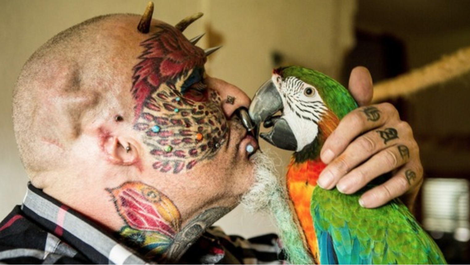 I'm now officially 'Mr Parrotman' | ITV News West Country