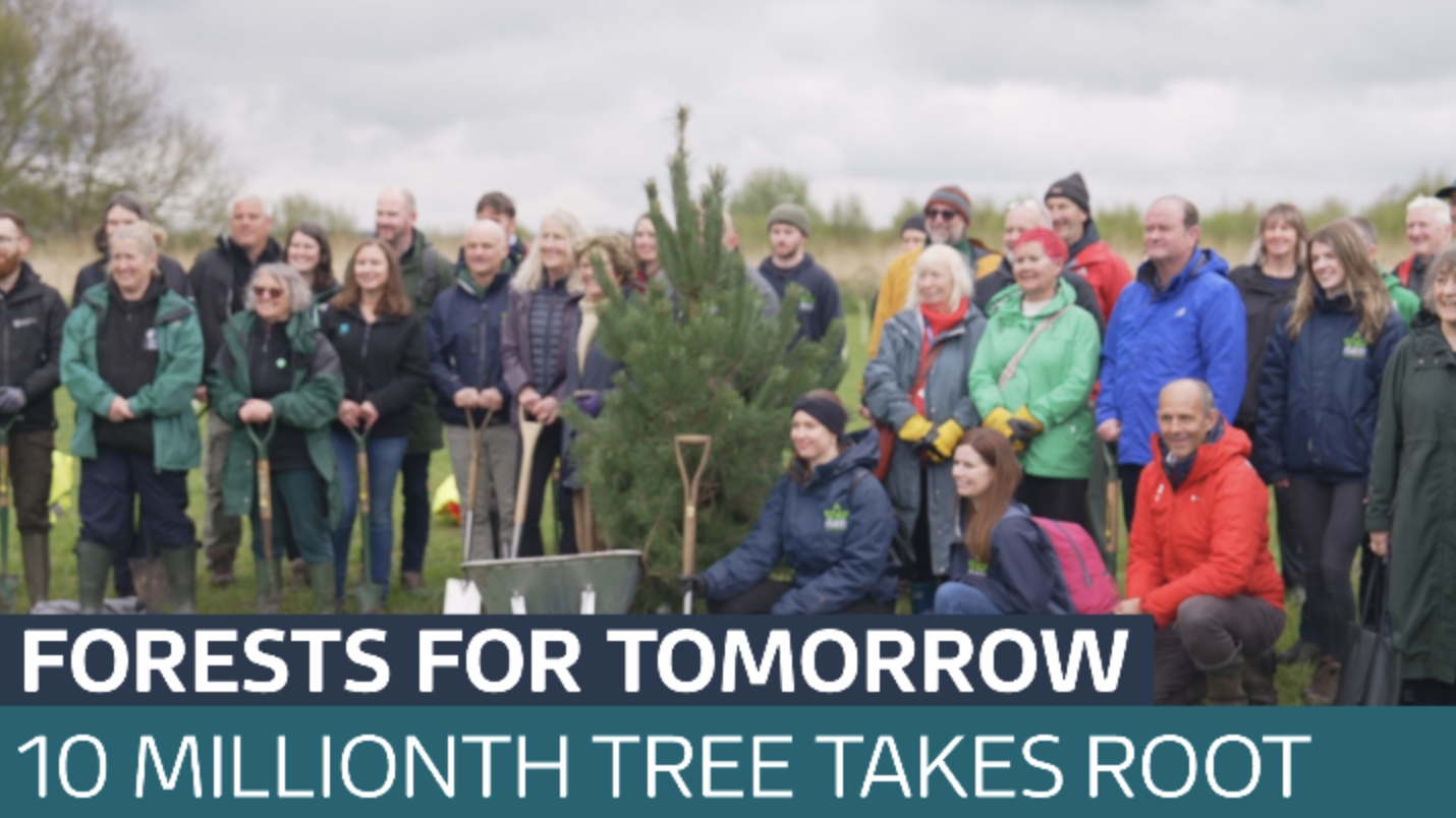 Mersey Forest plants its ten millionth tree at site in Sefton - Latest ...