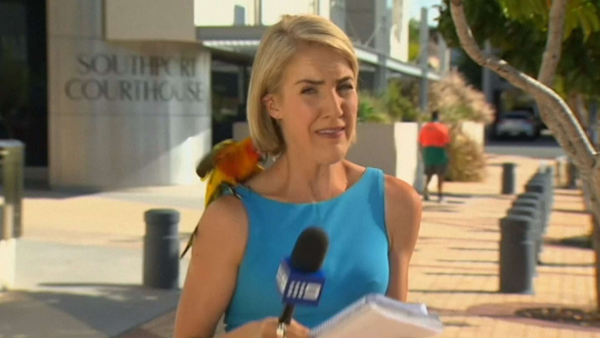 Reporter loses her composure after parrot lands on her shoulder moments ...