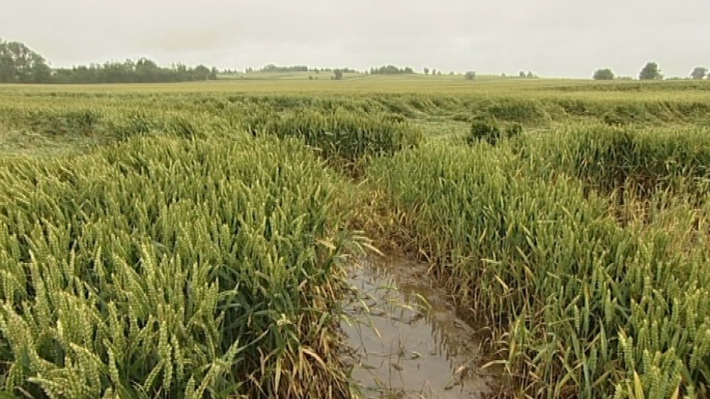 Farmers fear for crops after extreme wet weather | ITV News Central