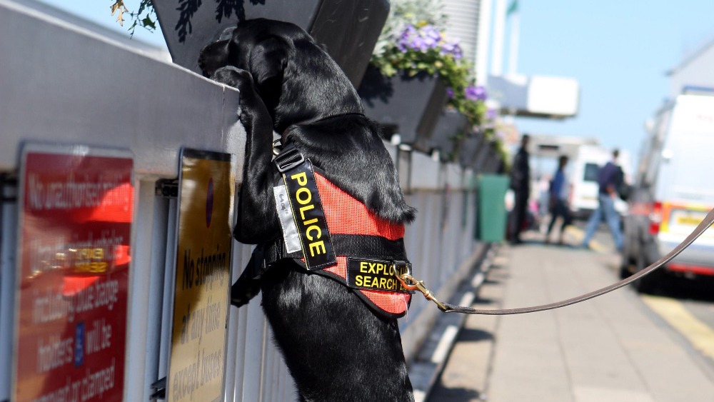Staffordshire Police Dogs Support Unit leading the way in new ...
