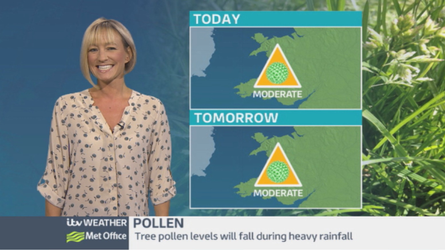 Pollen count: As the rain falls so does the pollen count! | ITV News Wales