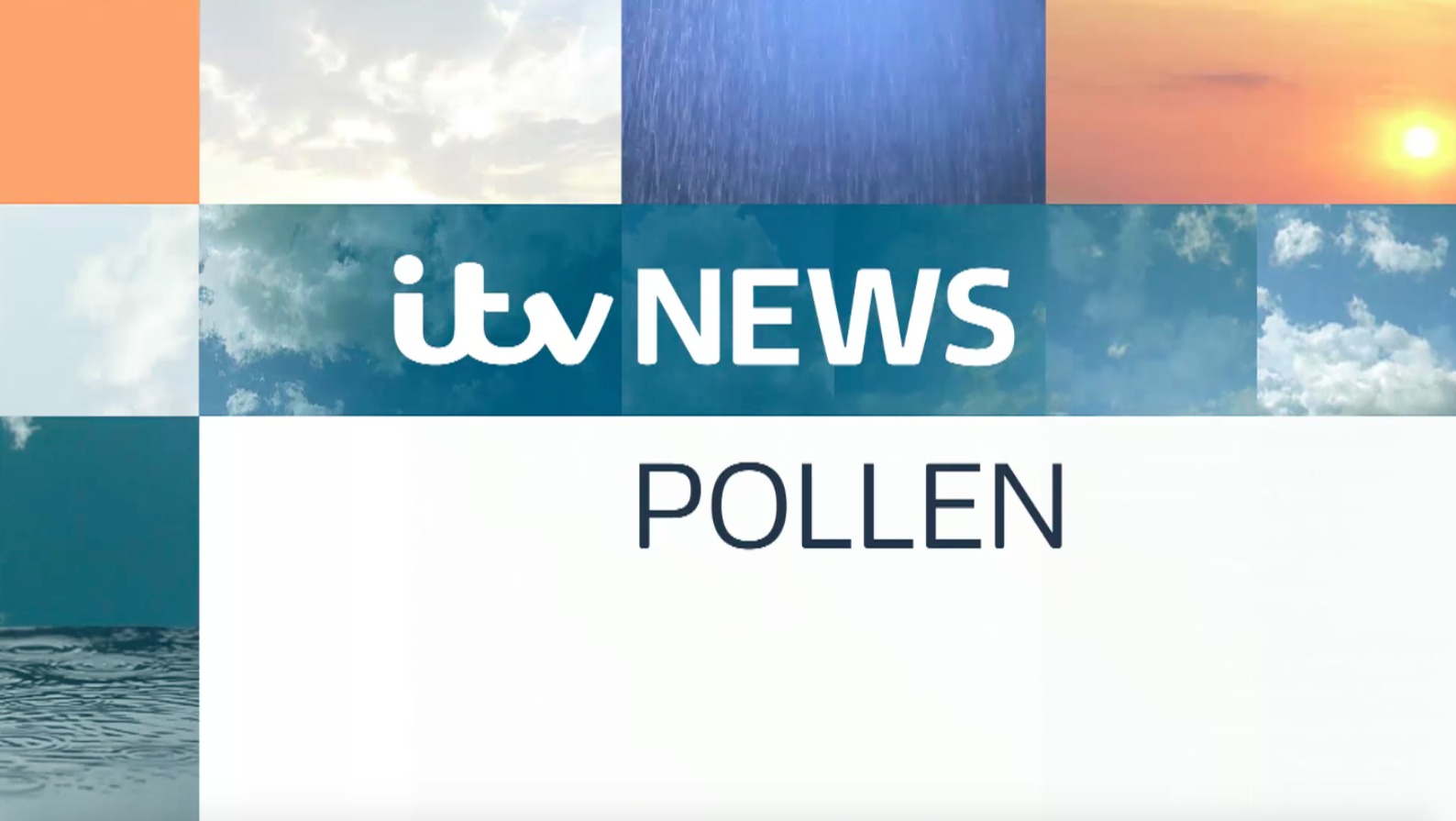 Friday Evening's Pollen Forecast | ITV News Meridian