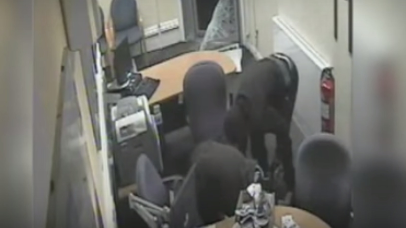 CCTV shows terrifying moment armed robbers ransack bank | ITV News Granada