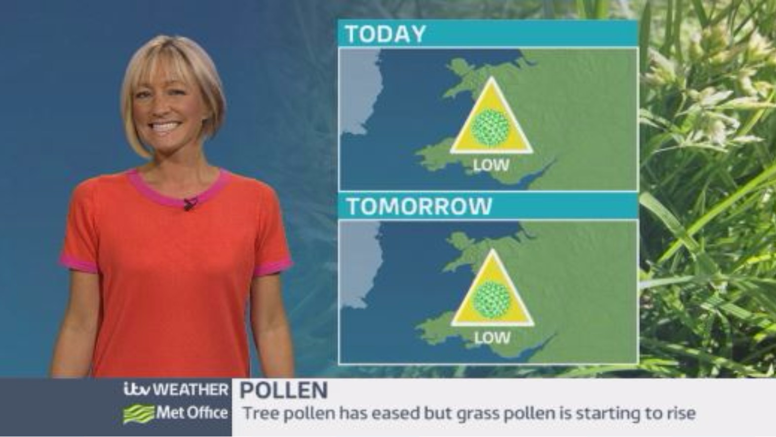 Pollen count: Generally low this weekend! | ITV News Wales