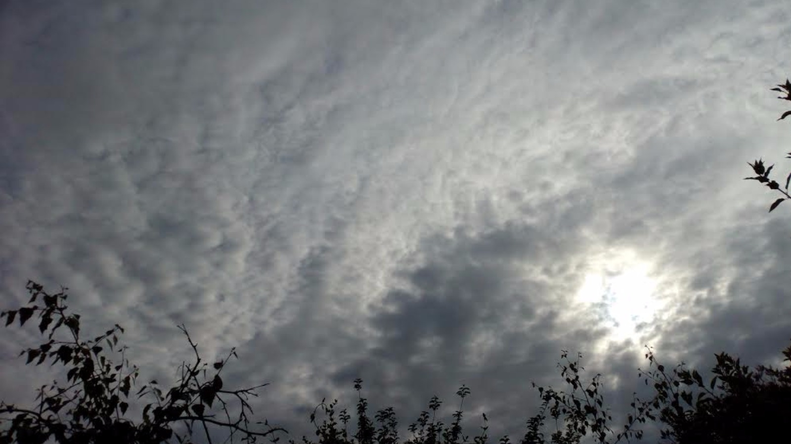 Anglia weather: a dull and damp evening ahead | ITV News Anglia