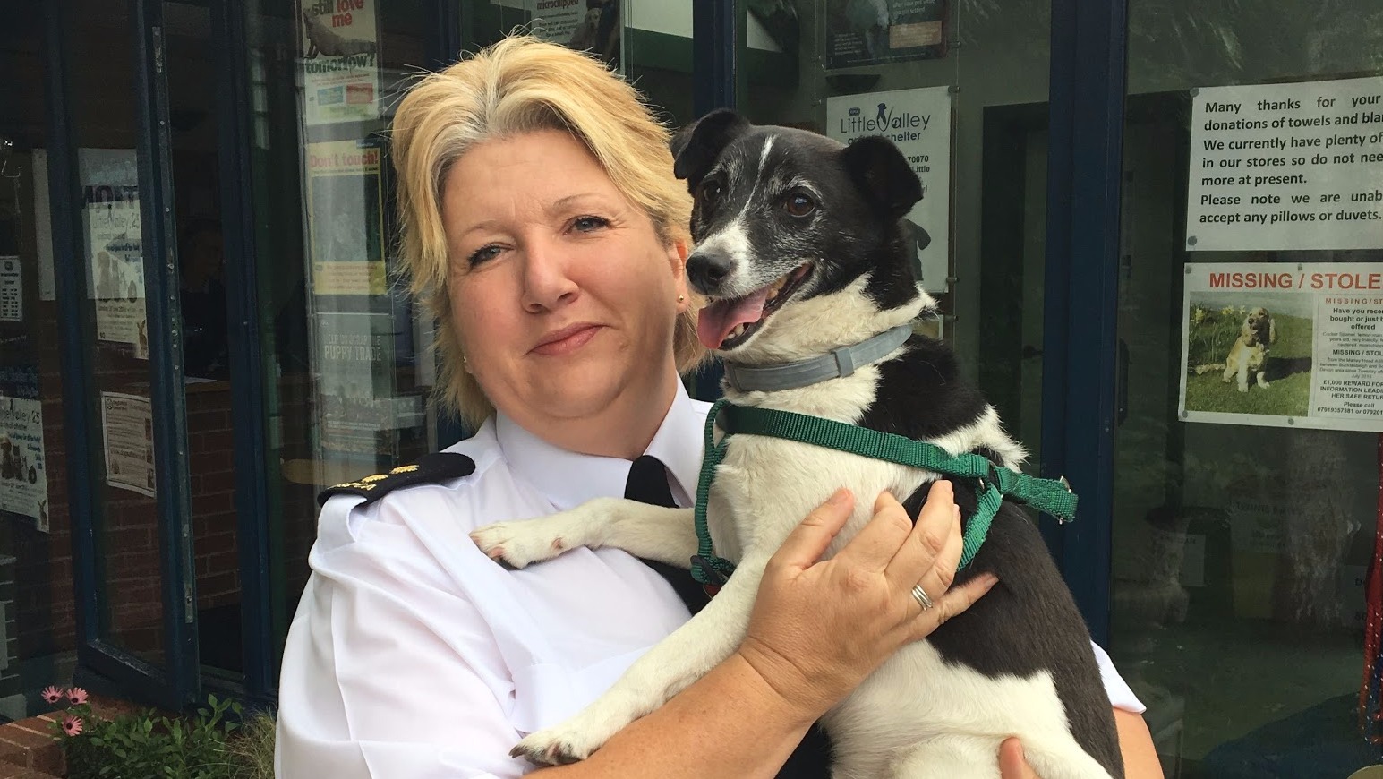 Lucky dog survives 150 ft cliff fall | ITV News West Country