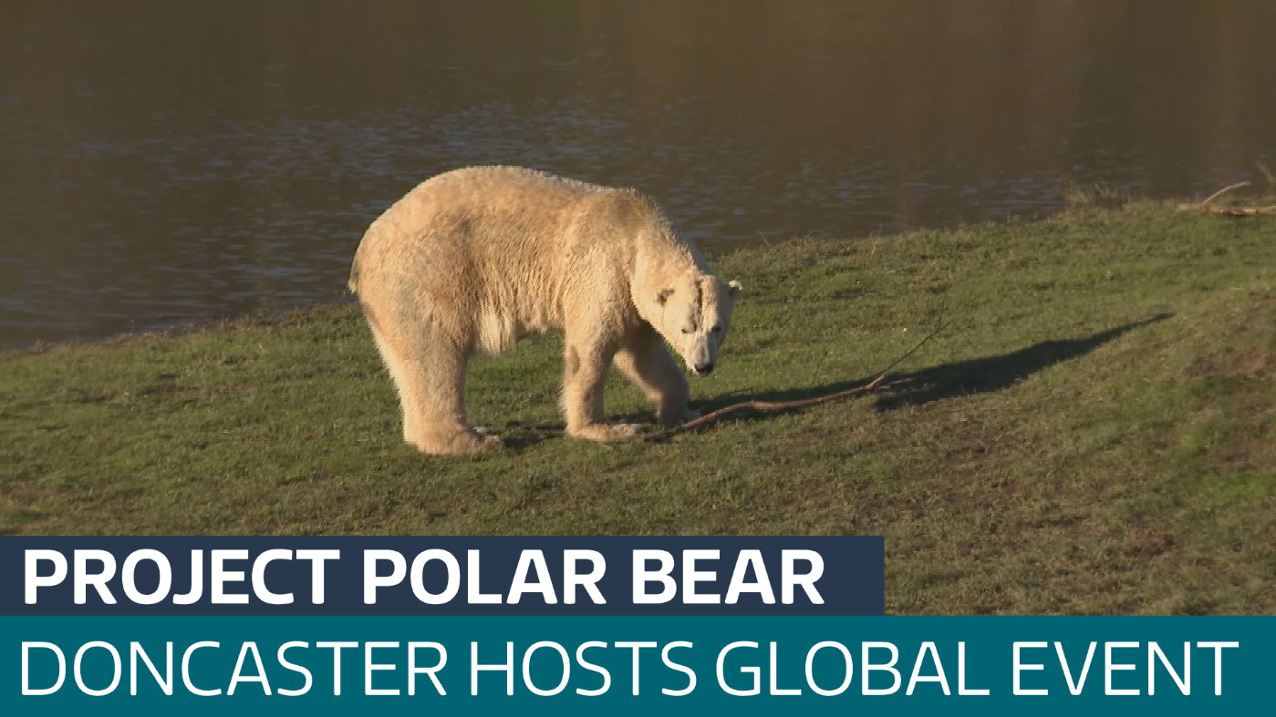 Experts from across the world gather in Doncaster for Project Polar ...