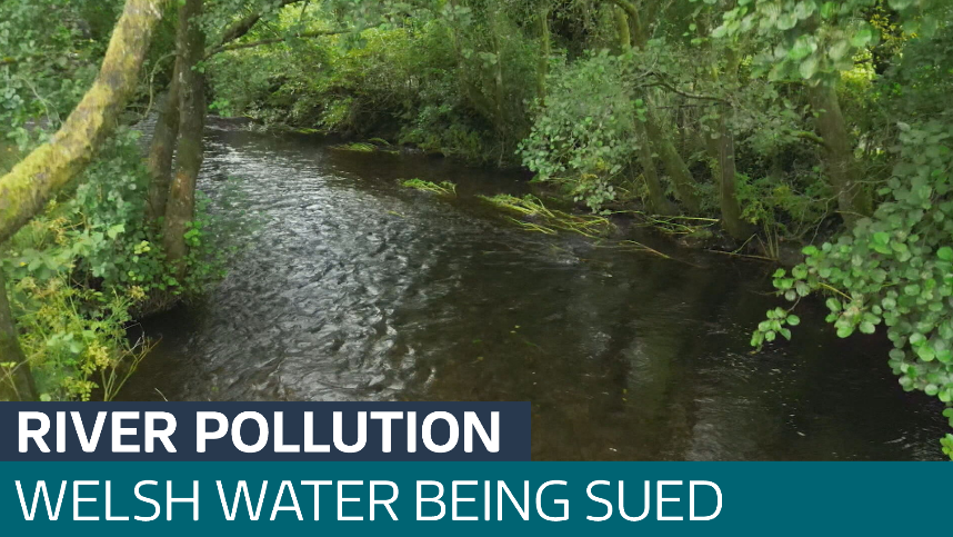 Welsh Water one of three firms sued in biggest UK legal claim over ...