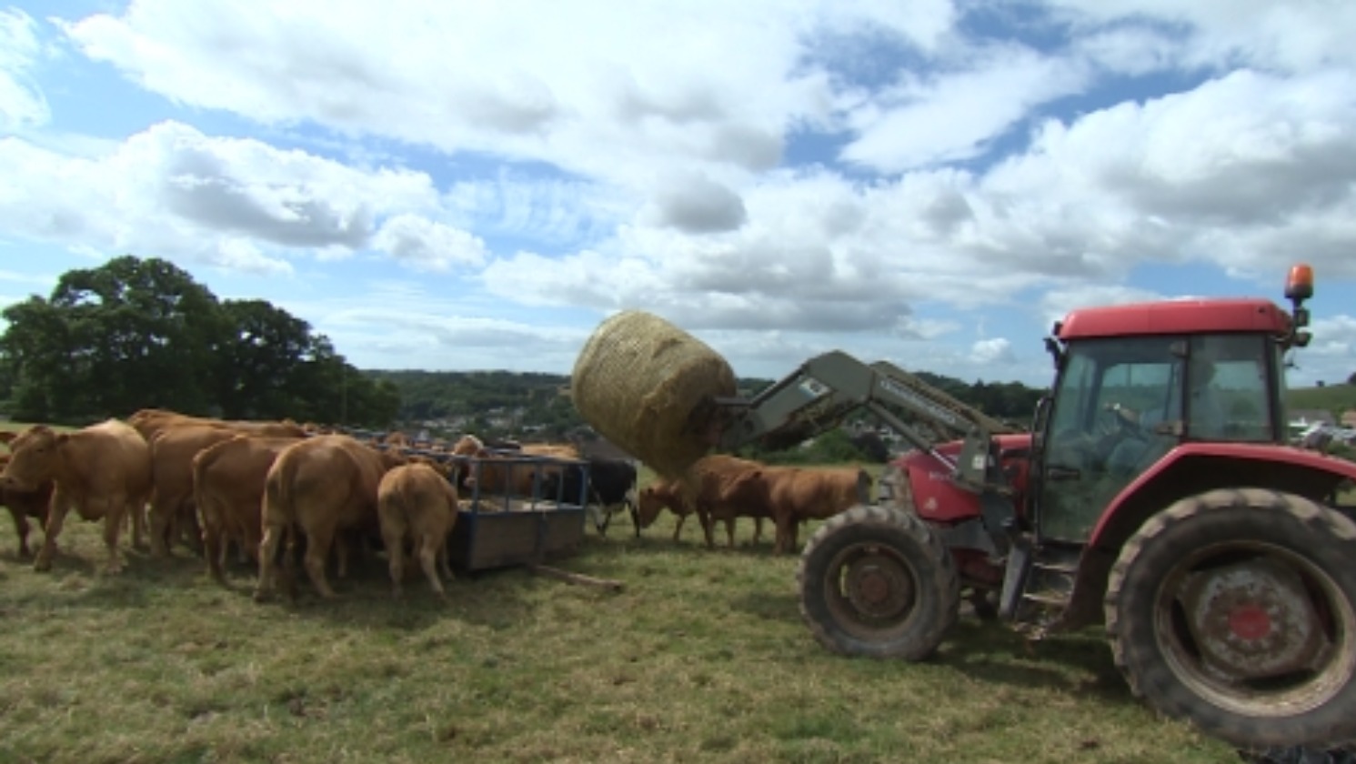 New report says farms 'need to become more diverse' | ITV News West Country