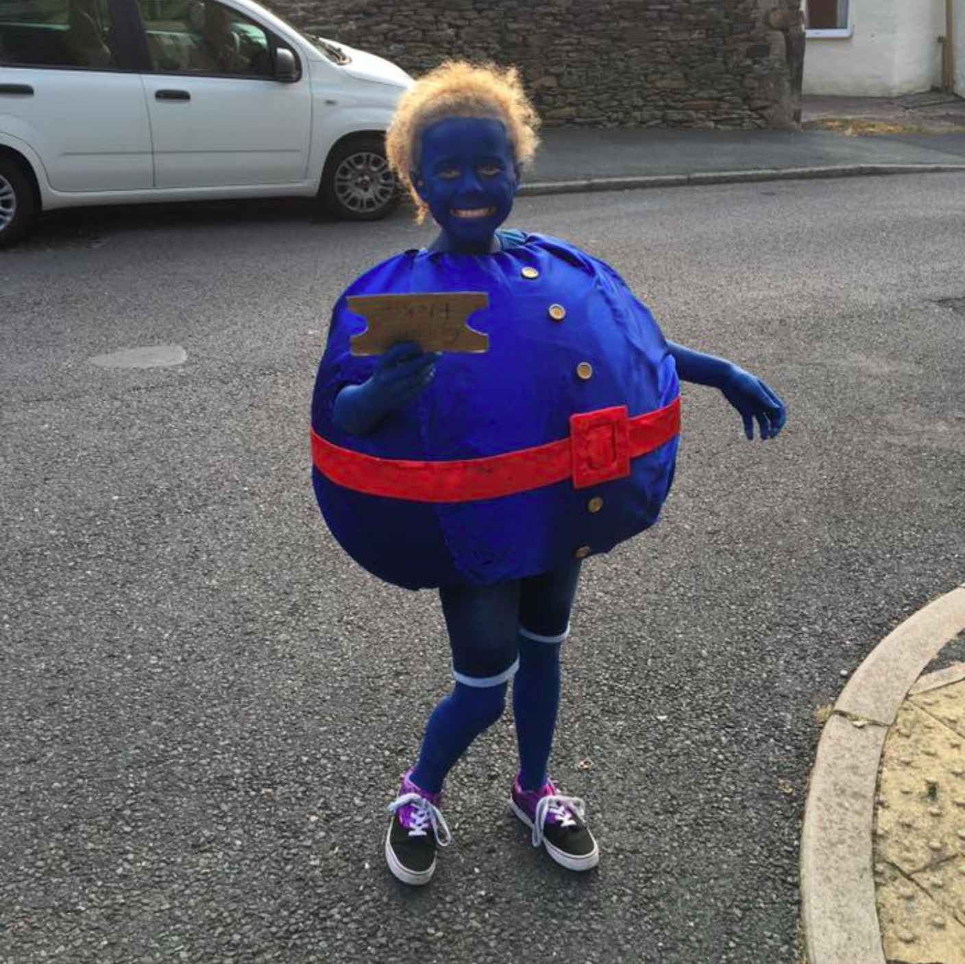 Violet Blueberry Costume