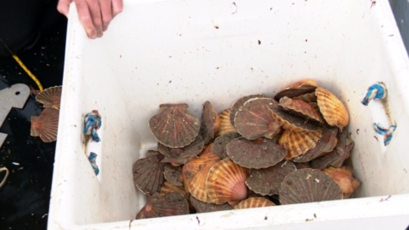 Autumn Summer Series: How to make scallops | ITV News Channel