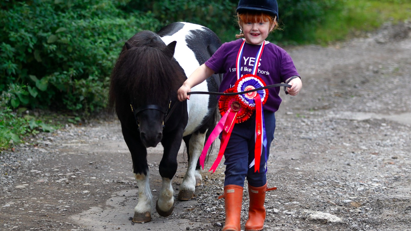 Elvis the Shetland pony has rivals 'All Shook Up' after scooping ...