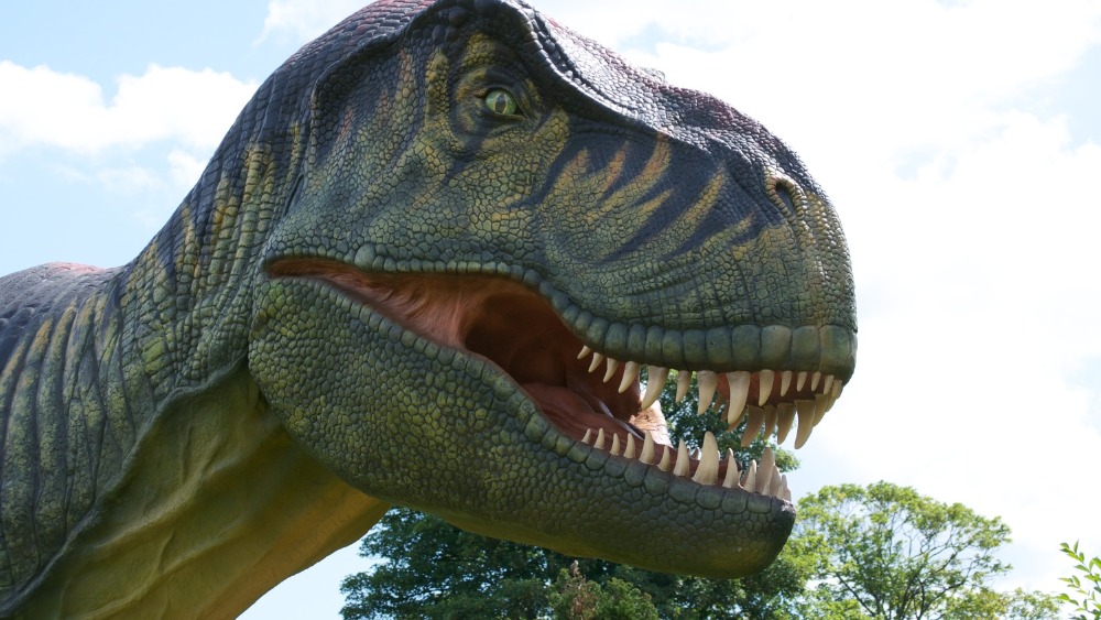 Hundreds watch Jurassic Park among dinosaurs at Bristol Zoo | ITV News ...