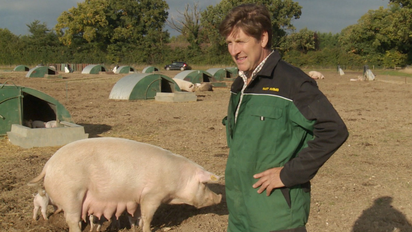 What it takes to become Pig Farmer of the Year | ITV News Anglia