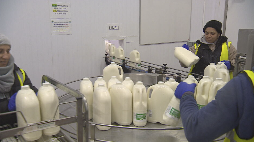 Pembrokeshire Creamery opens its only liquid milk facility to 'produce ...
