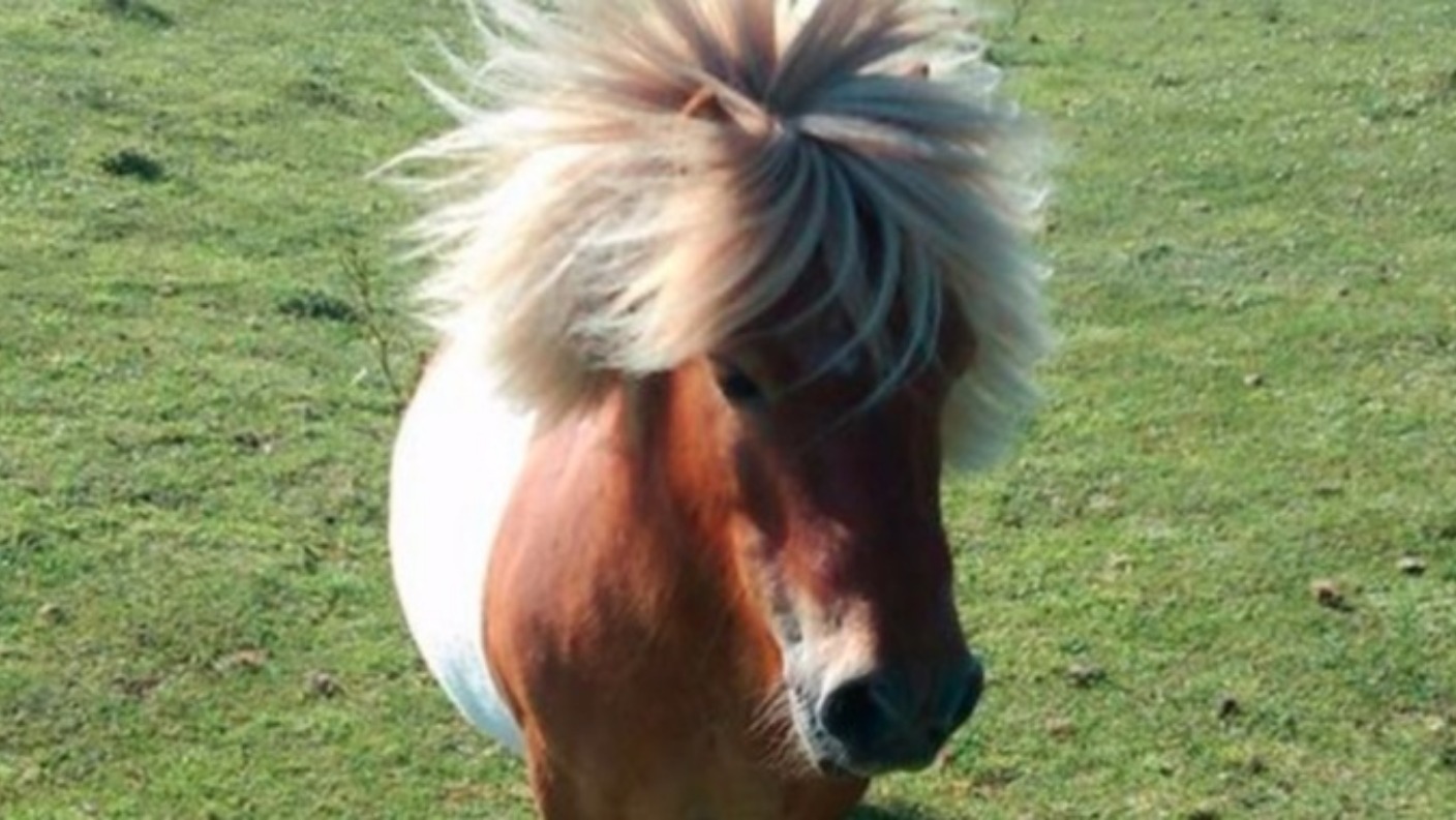 Bobby may have died 24 hours before he was found | ITV News Tyne Tees