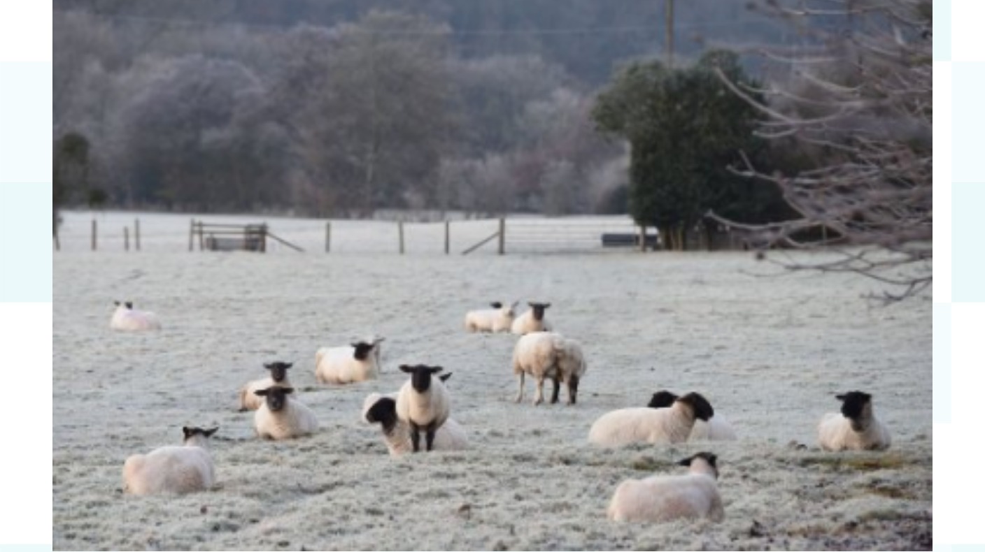 East Midlands latest weather forecast | ITV News Central