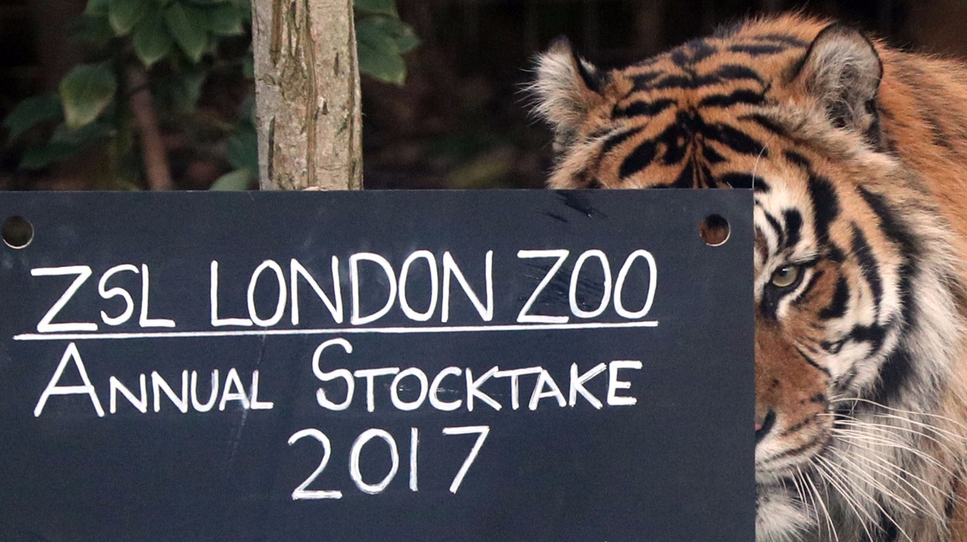 London Zoo begins counting animals during annual stocktake | ITV News ...