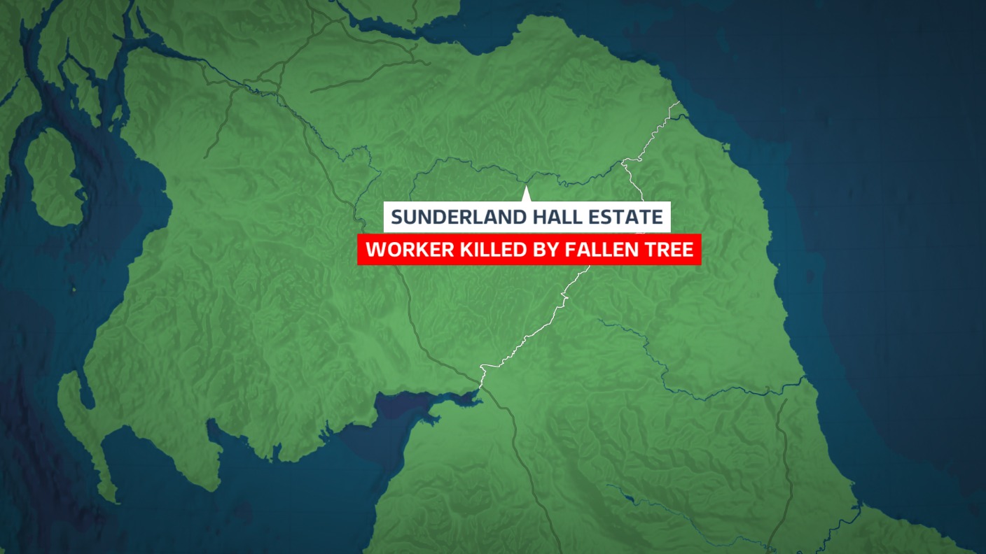 Forestry worker killed after being hit by tree | ITV News Border