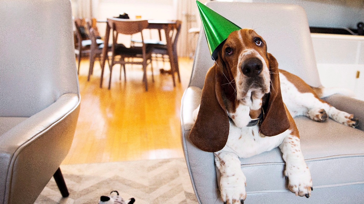 National Sickie Day: The worst excuses for skiving | ITV News Border