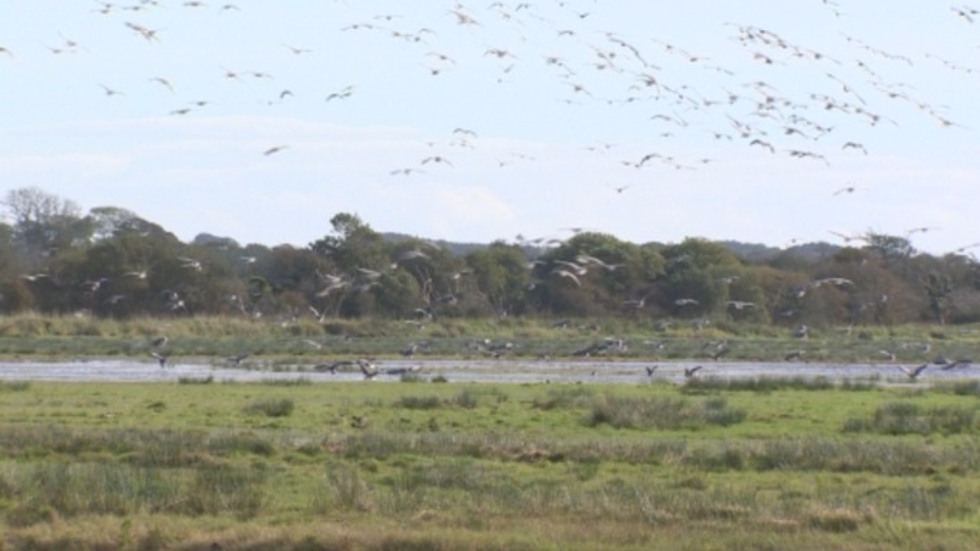 RSPB secure money to expand 'critical' wildlife site | ITV News Border