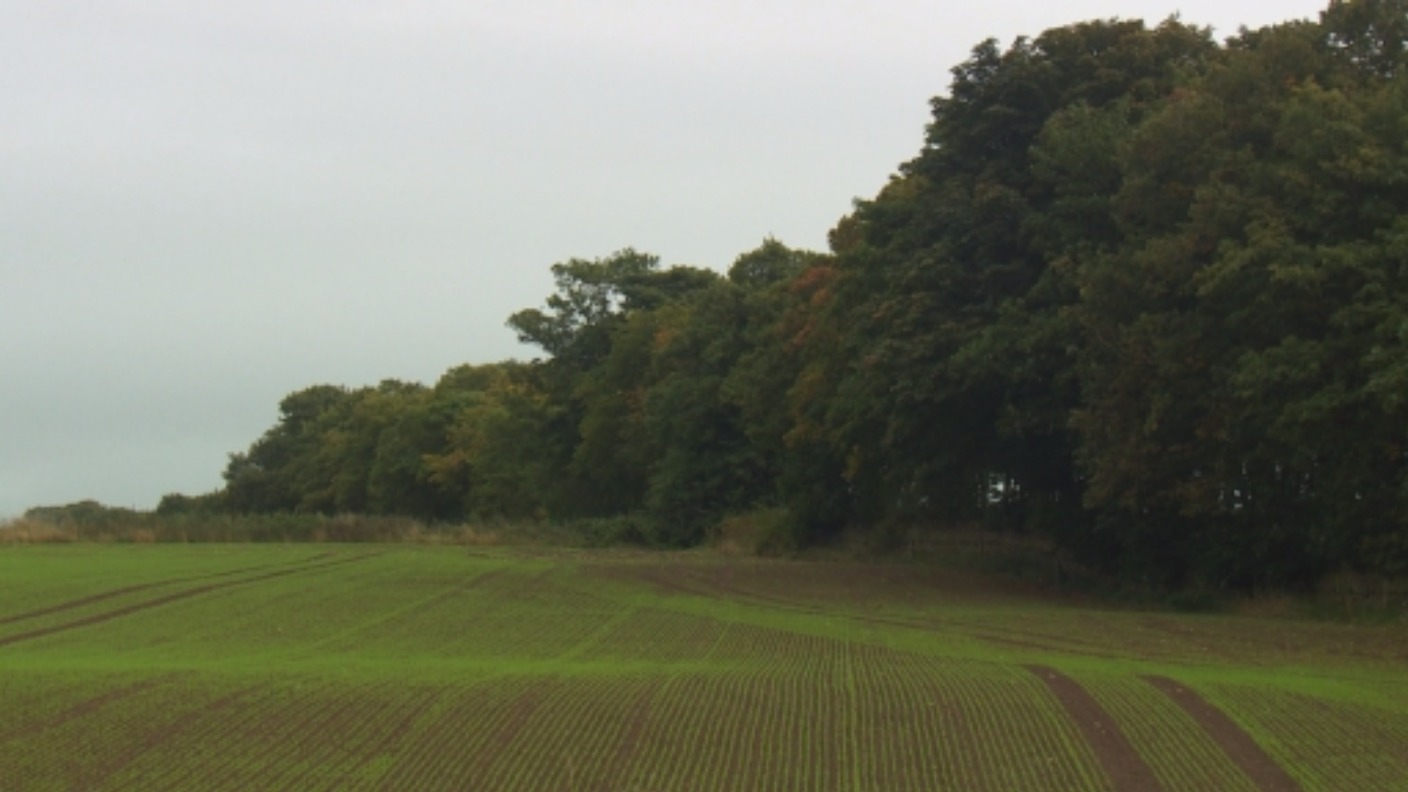 Hundreds of trees to be planted in National Trust project | ITV News Border