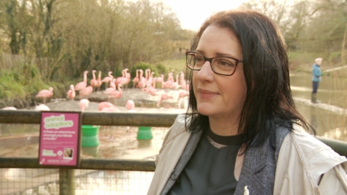 Durrell's new CEO says 'it's a zoo' | ITV News Channel