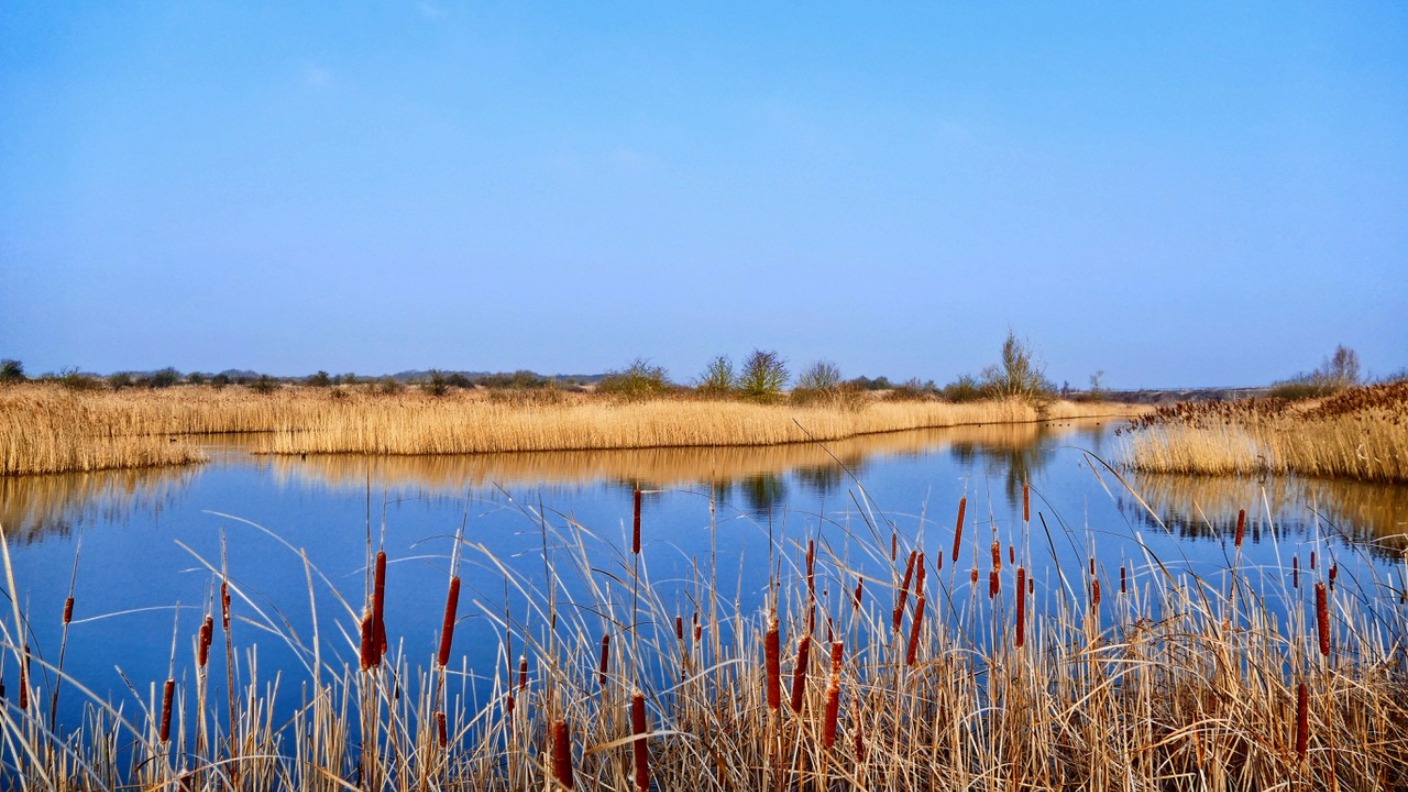 Anglia Weather: Patchy rain pushing through overnight | ITV News Anglia