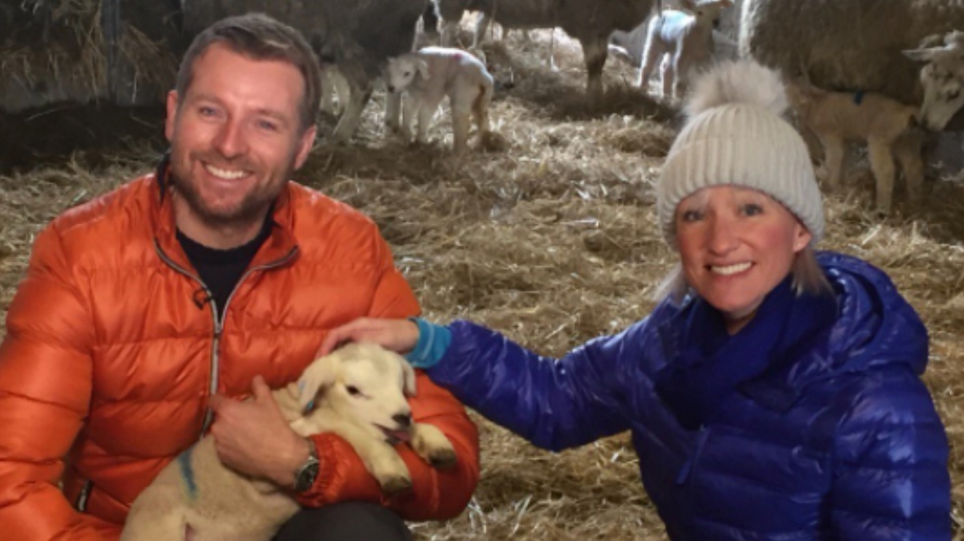 Coast and Country goes live from a Welsh sheep farm | ITV News Wales