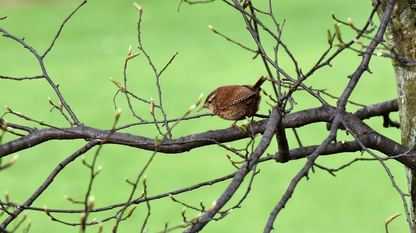 Weather: Wet and windy | ITV News Border