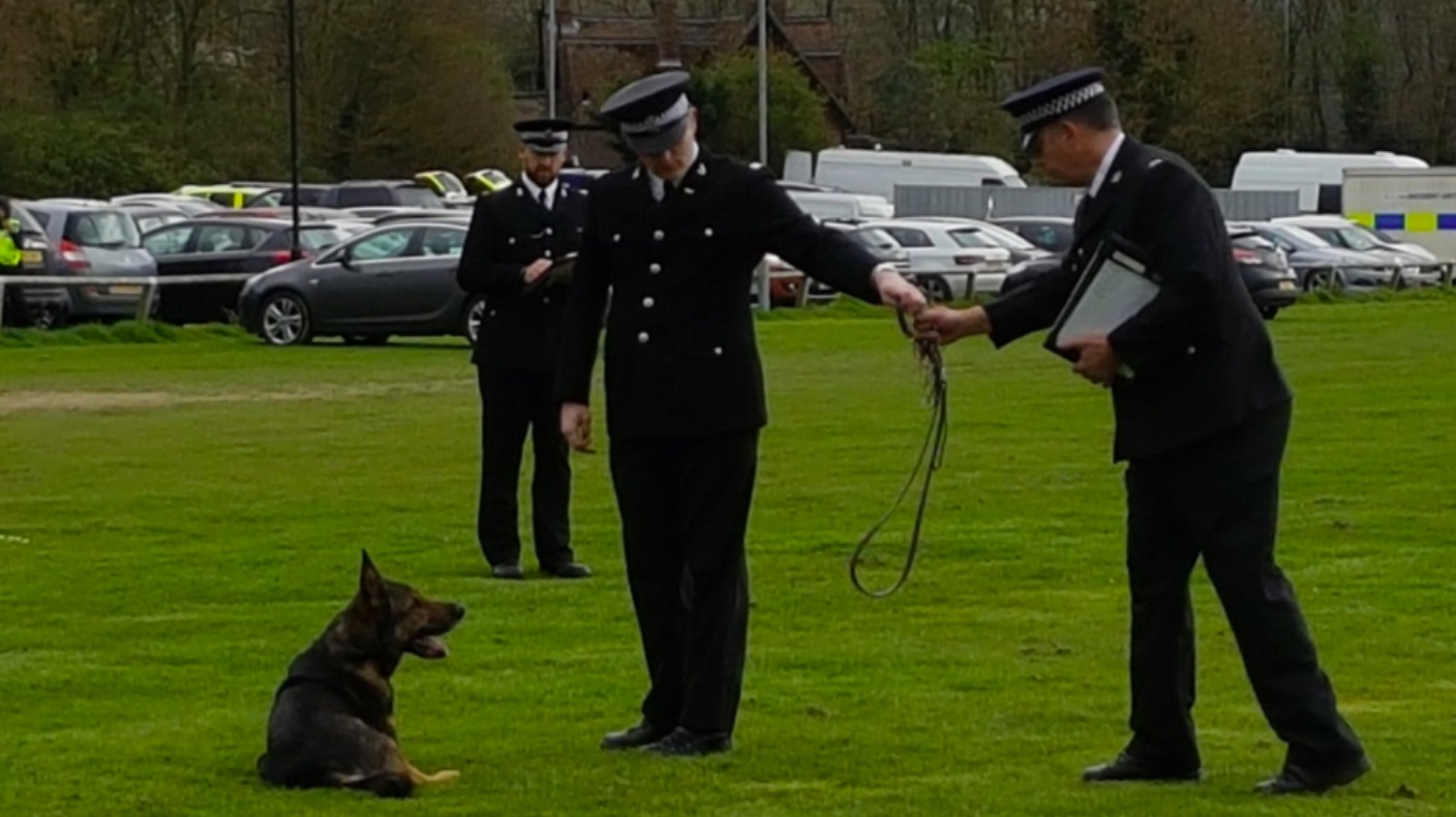 Hero police dog begins well earned retirement | ITV News Anglia