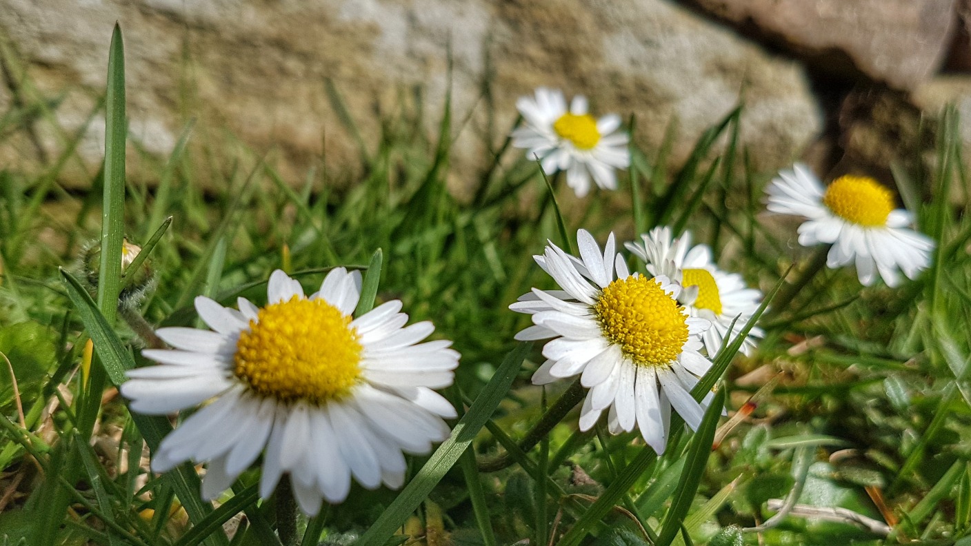 Weather: Mild with further rain | ITV News Border