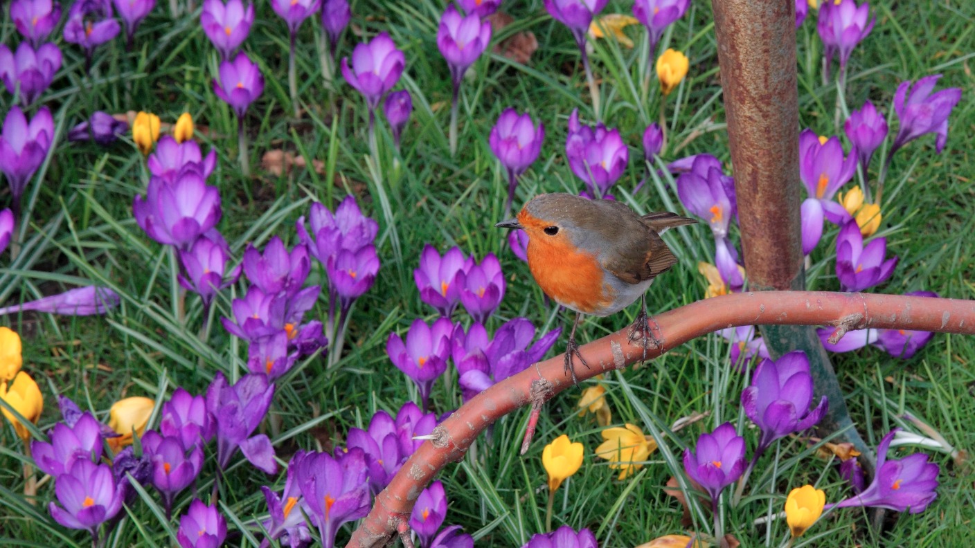 Weather: March- A mild month | ITV News Border