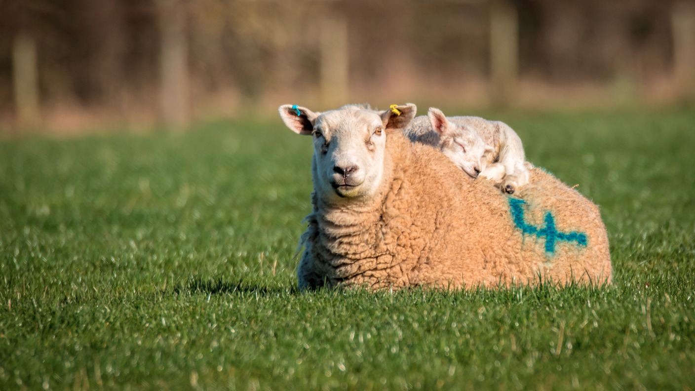 Weather: March- A mild month | ITV News Tyne Tees