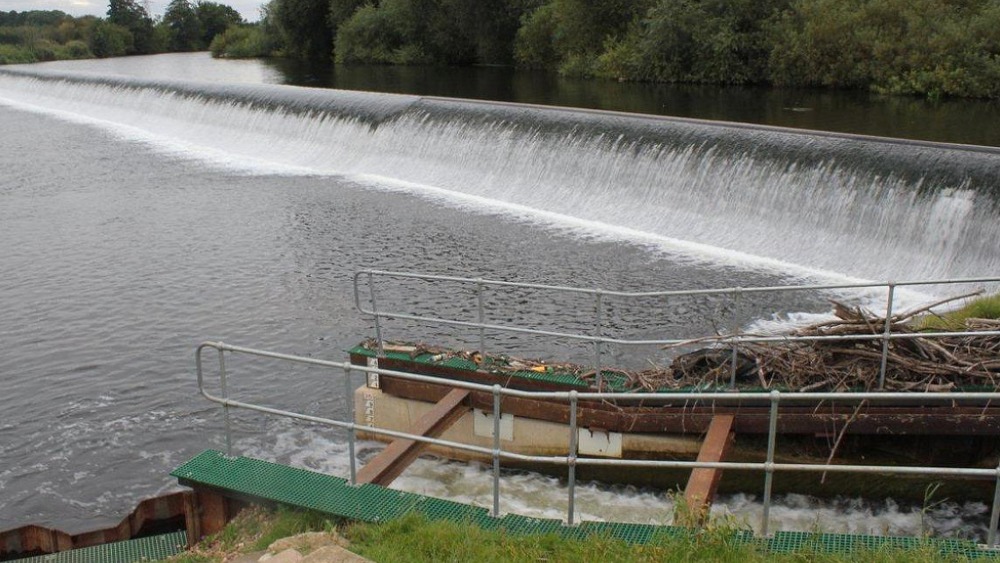 Largest fish pass in Midlands allows fish to spawn after 100 years ...