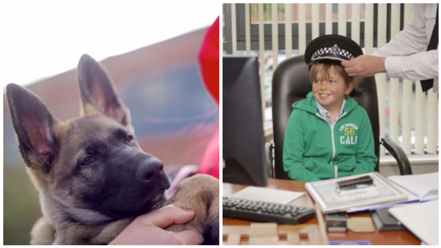 Police dog named in honour of schoolboy who lost battle to cancer | ITV ...