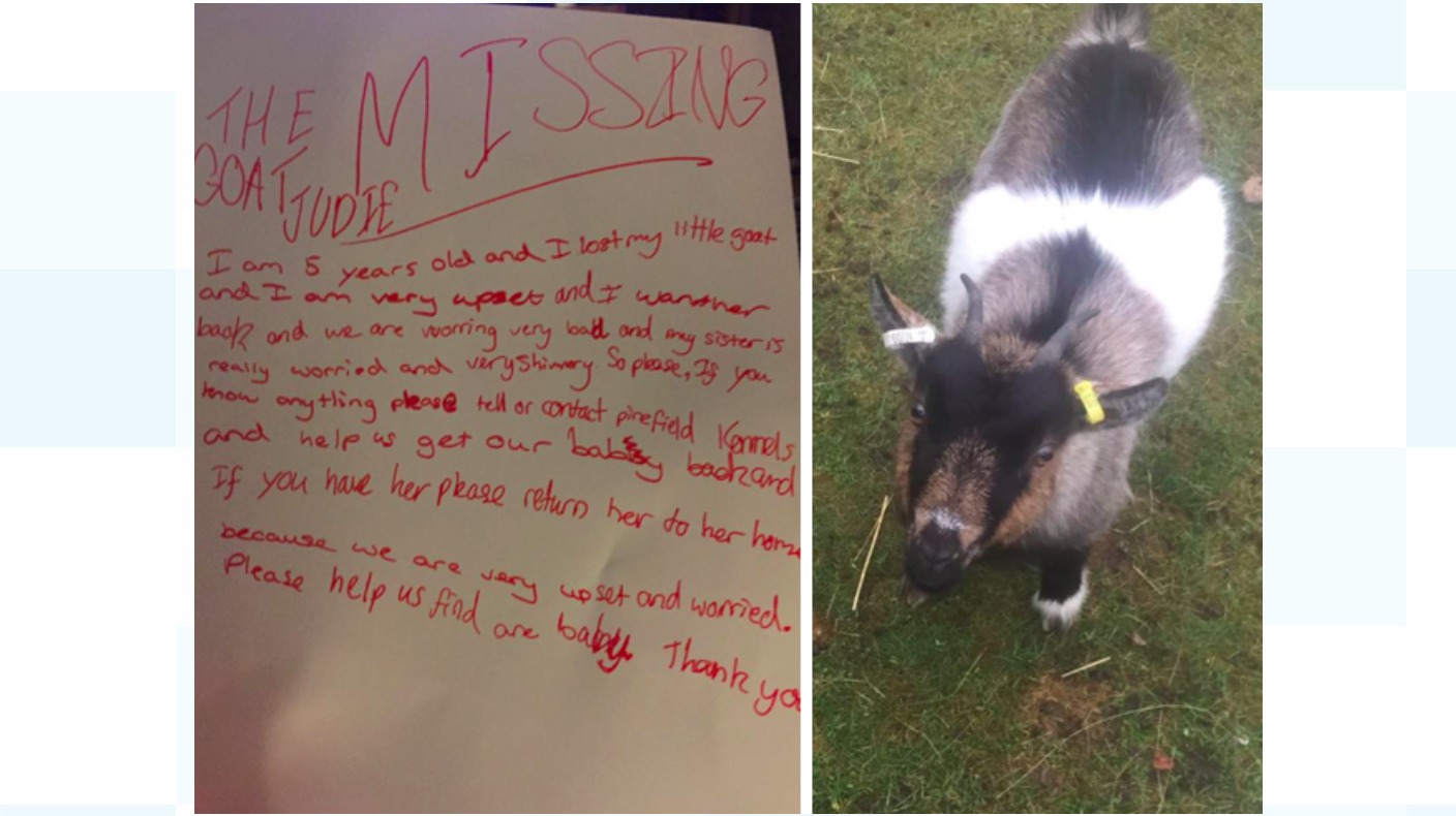 Five-year-old's heartbreaking note after pet pygmy goat goes missing ...