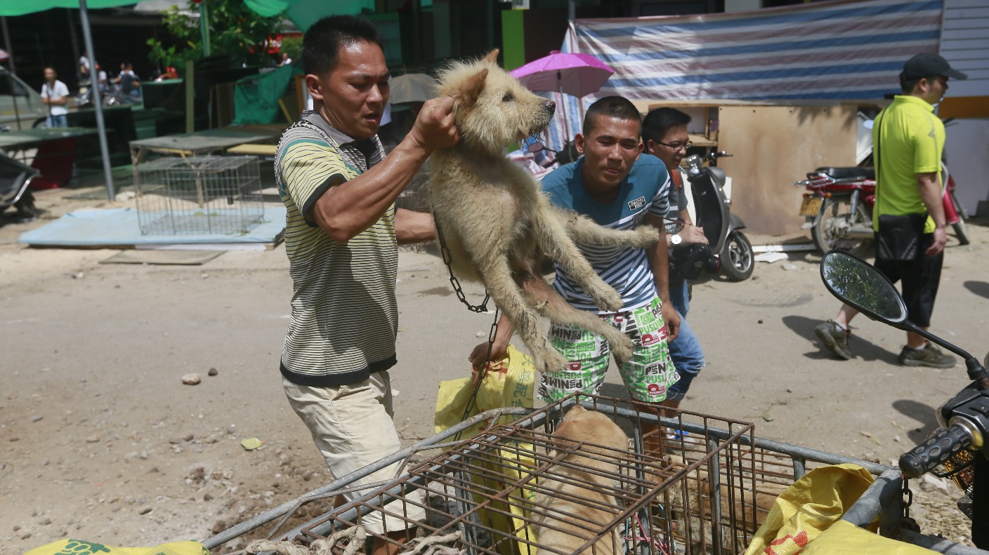What Is Yulin Festival In China
