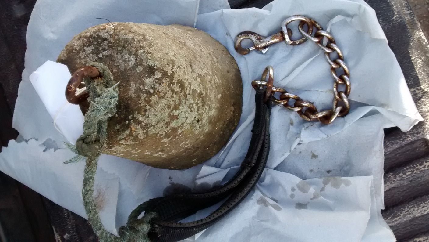 Body of dead dog found in river tied to concrete weight | ITV News Anglia