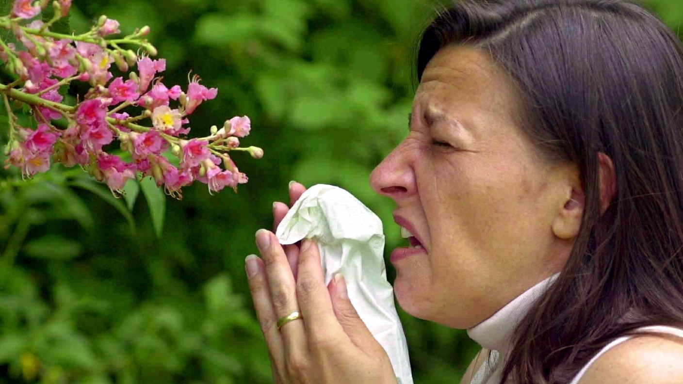 Pollen fever: How to cope with hay fever this summer | ITV News Border
