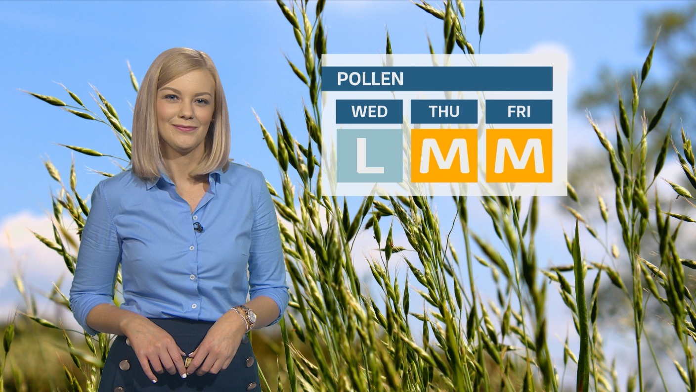 Pollen count: Low to moderate over the coming days | ITV News Wales