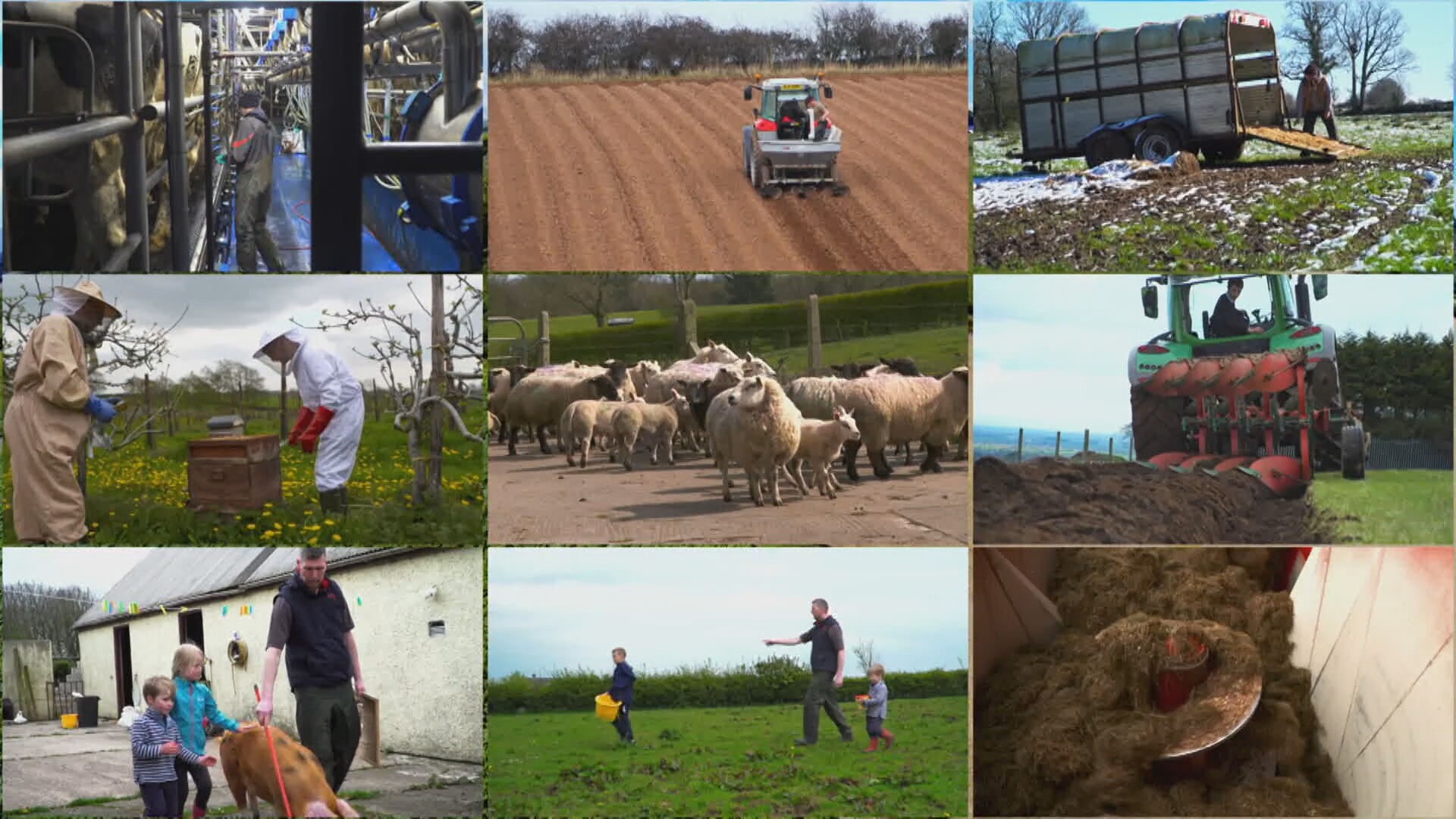 Rare Breed: A Farming Year returns to UTV on Thursday | UTV | ITV News