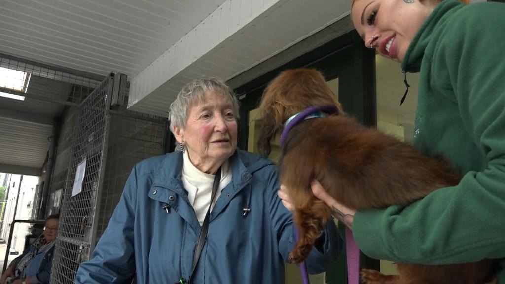 Pride of Britain awards: Larne woman's efforts for Mid Antrim Animal ...