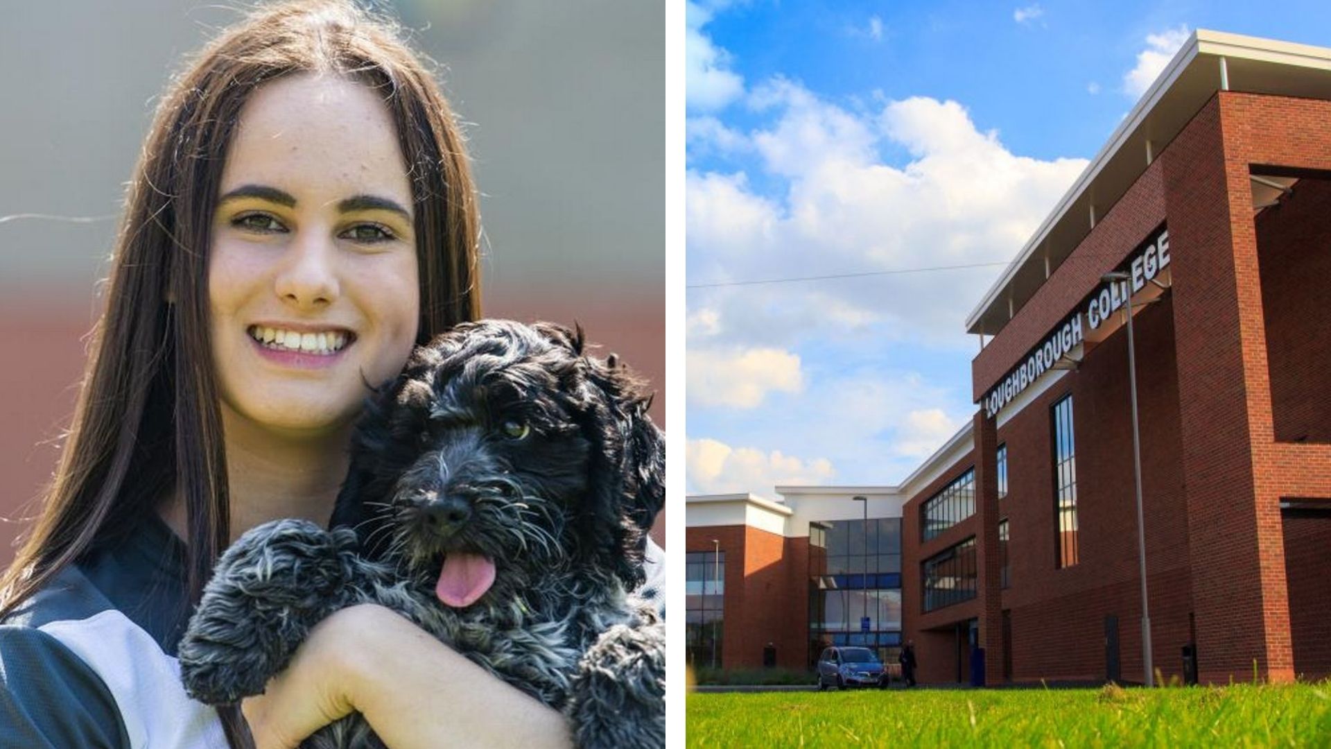 Meet the four-month old cockapoo therapy dog credited with saving a ...