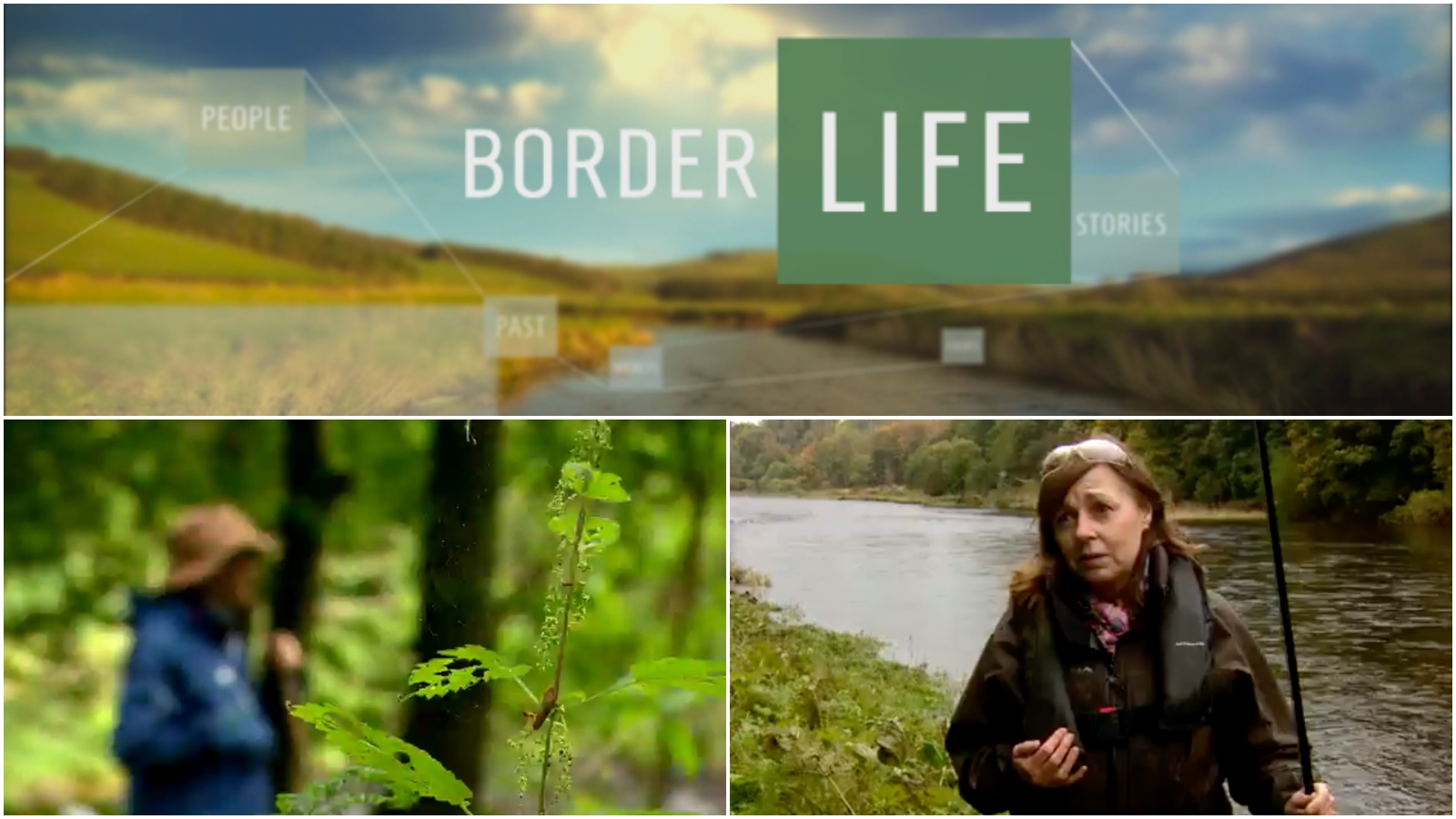 Border Life: Why fishing on the Tweed is booming because of the ...