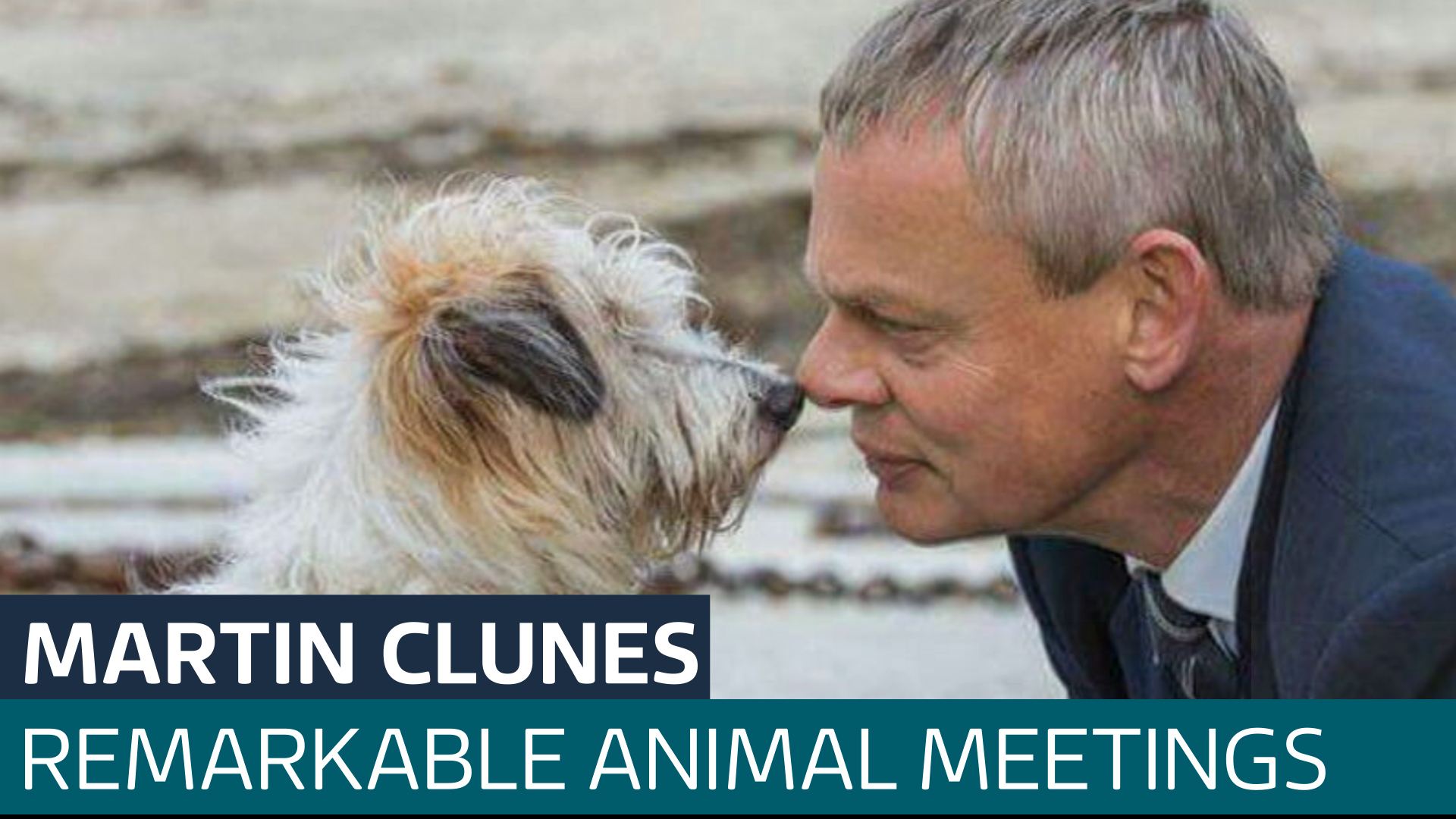 Martin Clunes reveals 'Meetings With Remarkable Animals' in new book ...